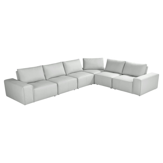 Davis Park Platinum 6 Pieces L-Shaped Sectional Sofa – Hooseng Furniture
